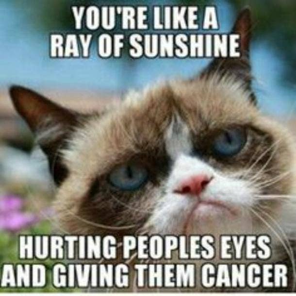 21 Best Grumpy Cat Memes And Funny Quotes About Love And Life Yourtango
